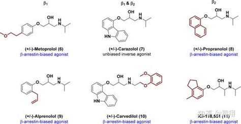 G蛋白偶联受体（gpcr）的偏向配体：结构 功能选择性关系（sfsr）和治疗潜力 知乎