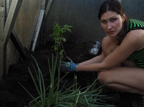 Premium Photo A Woman Is Planting A Tree In A Garden