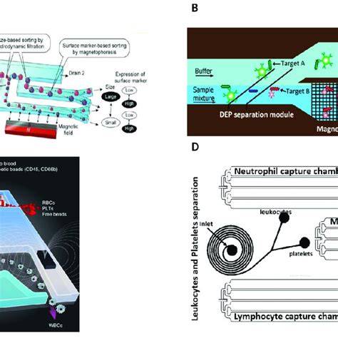 A Principle Of A Two Dimensional 2d Cell Sorting System Integrating Download Scientific