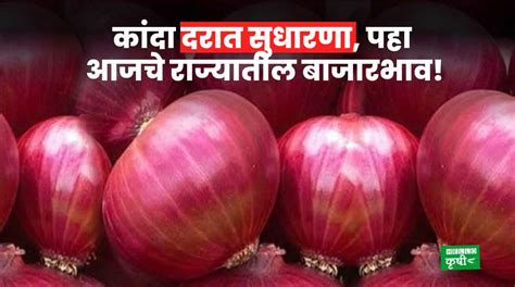Kanda Bajar Bhav कांदा दरात सुधारणा पहा आजचे राज्यातील बाजारभाव
