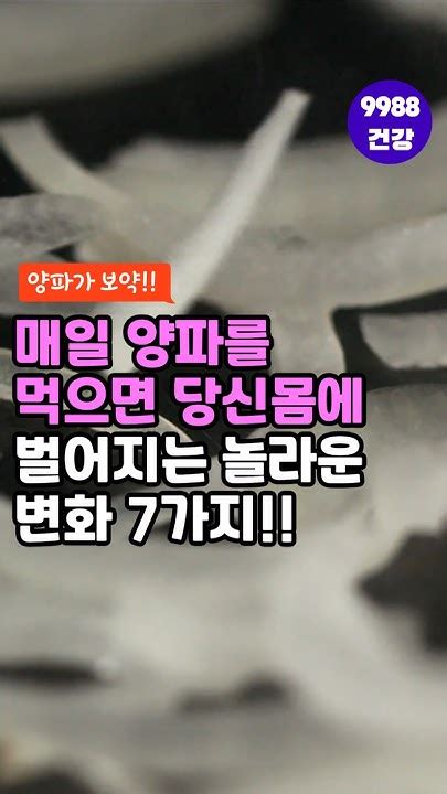 매일 양파를 먹으면 당신 몸에 벌어지는 놀라운 변화 7가지 Youtube