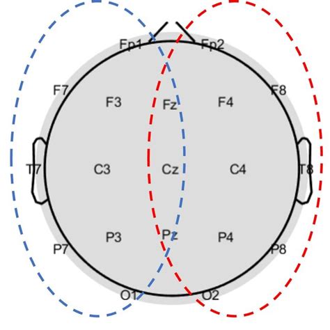Ipsilateral Scalp Electrode Locations In The 2d Images Resulting From Download Scientific