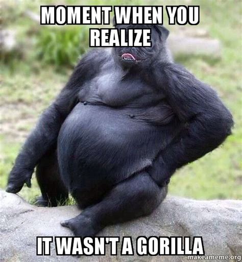 20 Gorilla Memes That Will Leave You Laughing Your Heart Out