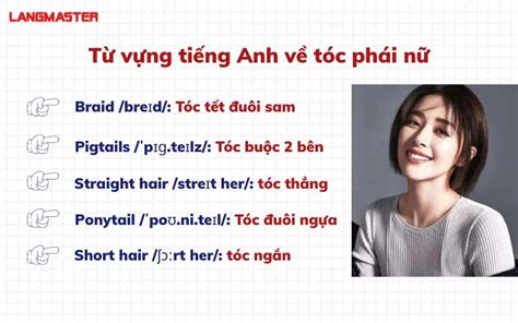 TỔng HỢp TỪ VỰng TiẾng Anh VỀ TÓc ThÔng DỤng Trong Giao TiẾp