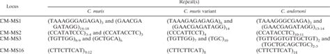 Nature Of Microsatellite And Minisatellite Repeats In Four Genetic Loci Download Table