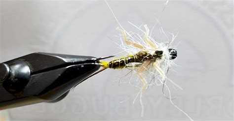 Stonefly Patterns