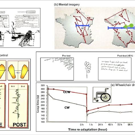 Pdf Prism Adaptation In The Rehabilitation Of Patients With Visuo