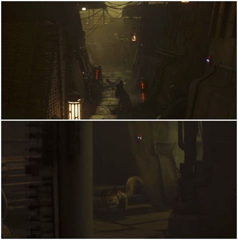 In The Latest Episode Of The Mandalorian A Loth Cat Can Be Seen In The