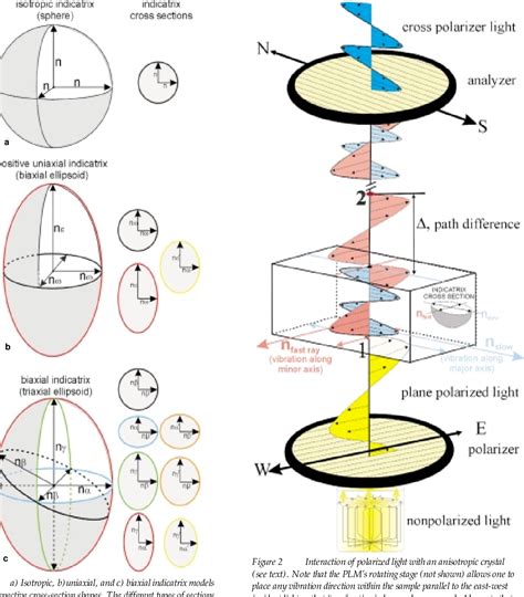 Polarized Light