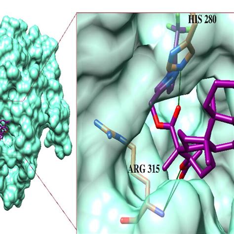 The Binding Mode Of The Most Active Compound 6f Shown In The Purple