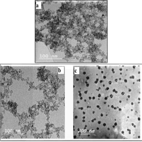 TEM Images Of A Naked MNPs B Cit MNPs And C Cs DOX Cit MNPs
