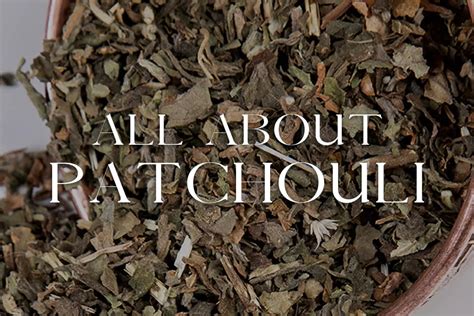 Patchouli Leaf Magickal Properties And Uses