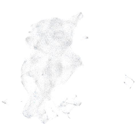 Pdcd2 Periderm Daniocell