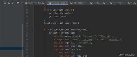 yolo x 训练起来，详细的不行，且内含800错误解决办法 an error has been caught in function