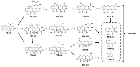 Proposed Tc Degradation Pathway In Cofeochbpms System Download