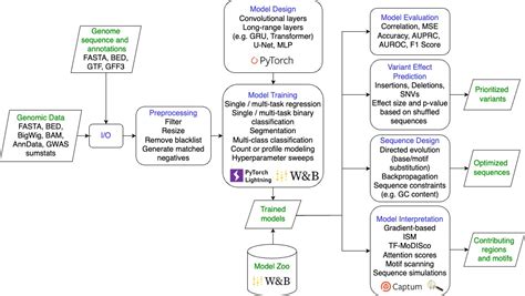 Grelu A Python Library For Deep Learning On Dna Sequences Ml News