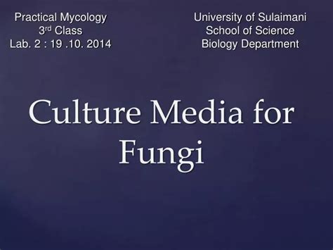 Ppt Culture Media For Fungi Powerpoint Presentation Free Download Id6549578