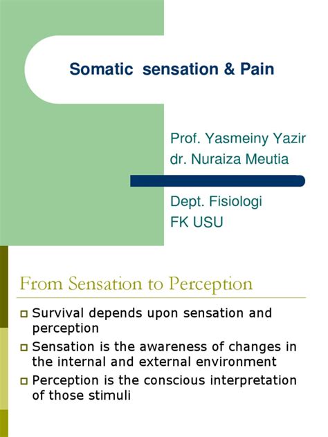 Somatic Sensation Pain Somatosensory System