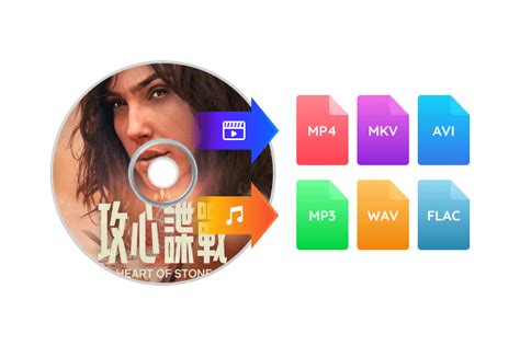 Dvdfab 13 Die 13 Generation Dvdfab Mit Neuer Disc Lösung Und Flachem Design