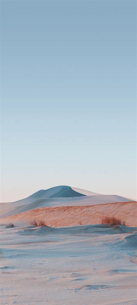 Miui Miui