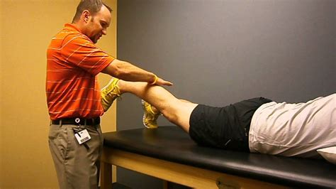 Back Extensor Strength Test At Leo Geils Blog