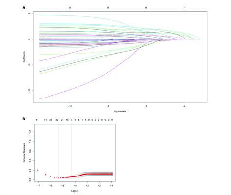 Predictors Selection Using Lasso Regression A Lasso Coefficient