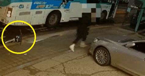 버스 타려고 ‘공유자전거 길에 내동댕이 도로의 흉기” 영상
