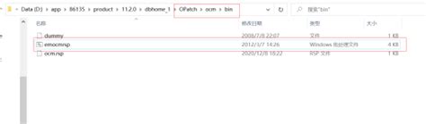 给oracle数据库打补丁的时候遇到error Code 73 问题oracle 更新补丁 73 Csdn博客