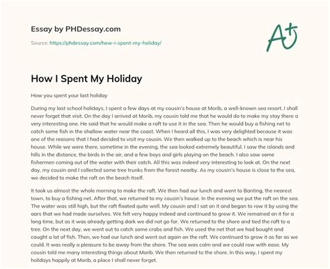 How I Spent My Holiday Narrative Essay Example Words PHDessay