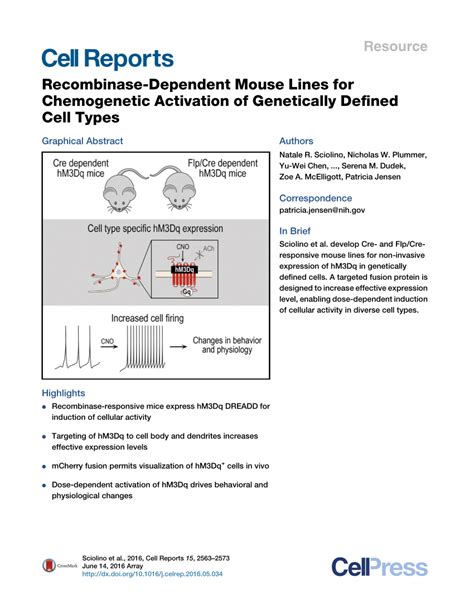 Pdf Recombinase Dependent Mouse Lines For Chemogenetic Activation Of