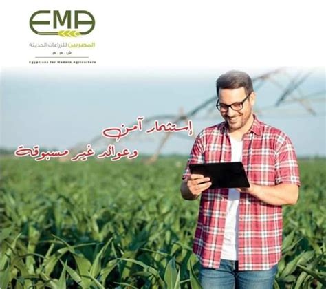جريدة القرارالمصري وزارة التموين تطرح كميات كبيرة بأسعار مخفضة