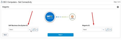 Sap Business One Integration Hub The Ultimate Way To Connect Magento 2 And Other Platforms To