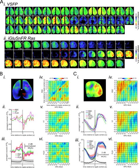Figures And Data In Inhibition Is A Prevalent Mode Of Activity In The Neocortex Around Awake
