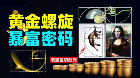 宇宙的诡异设计，无处不在的黄金螺旋，开悟后的人能看到什么？【小红虾实验室】 Youtube
