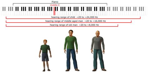 Sonar Biological Uses Of Sonar