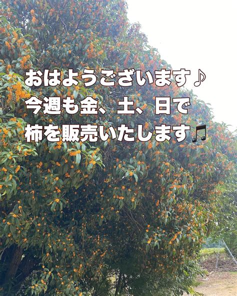 おはようございます ブログ 愛知県刈谷のぶどうならぶどう屋さんすずき