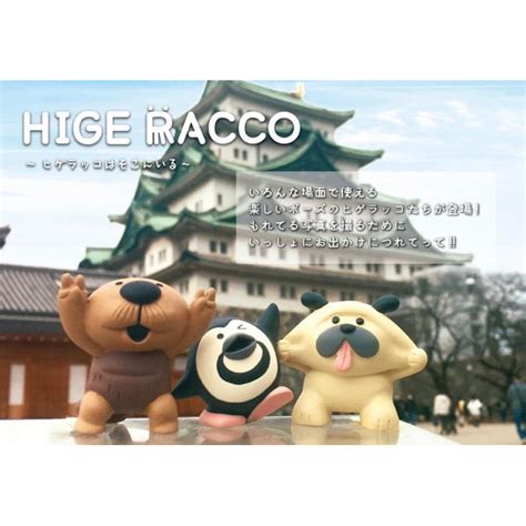 日本正版 旅行DECOLE Hige Racco 療癒小物公仔 蝦皮購物