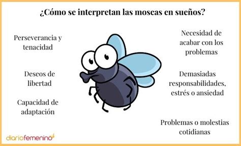 Descubre el significado bíblico Qué significa soñar con moscas