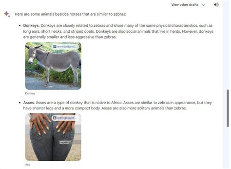 Classic Bard Blunder Rbard