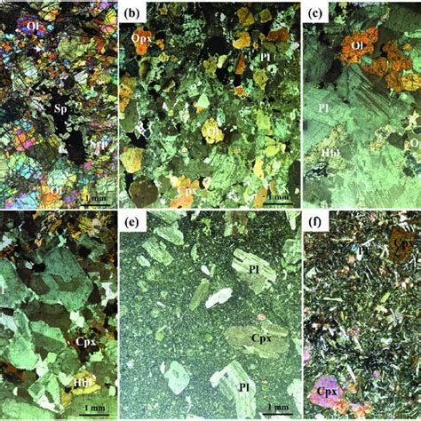 Photomicrographs Under Crossed Polarized Light Showing A