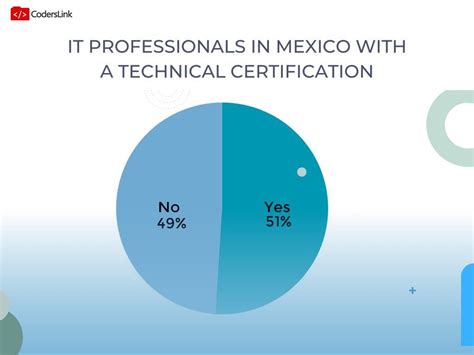 Developers In Mexico Their Educational Level And Training