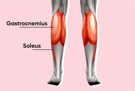 What Exercises Help Build Calf Muscles