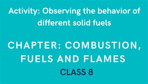 Observing The Behavior Of Different Solid Fuels In Combustion Fuels