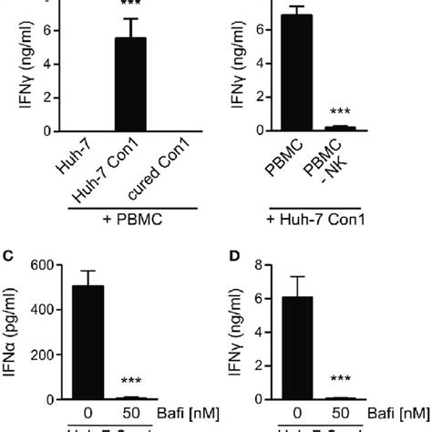 Plasmacytoid Dendritic Cells Pdcs And Natural Killer Nk Cells Are