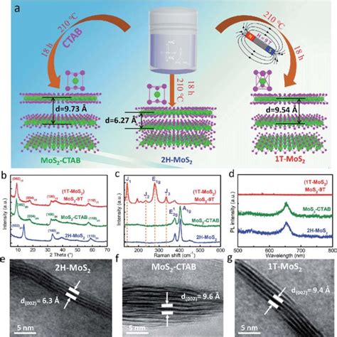 Synthetic Schematic And Characterization Of Samples A Schematic