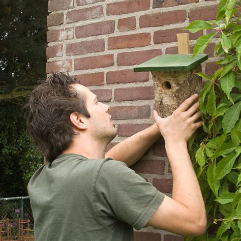 National Trust Birch Log Nest Box 32mm Hole For Small Birds