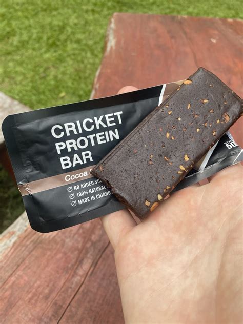 Chocolate Bug Bar Indy Wild