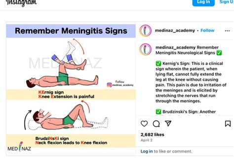 Meningitis Flashcards Quizlet