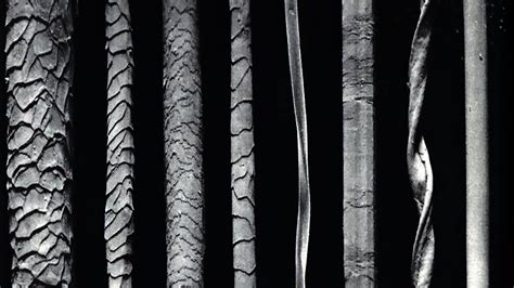 ساختار الیاف نساجی ساختار فیزیکی و مولکولی الیاف نساجی نساجی