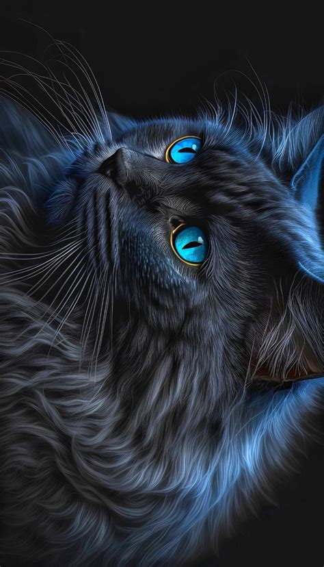 4k UHD Black Cat Wallpaper Cat With Blue Eyes Cat Wallpaper Cat Dark